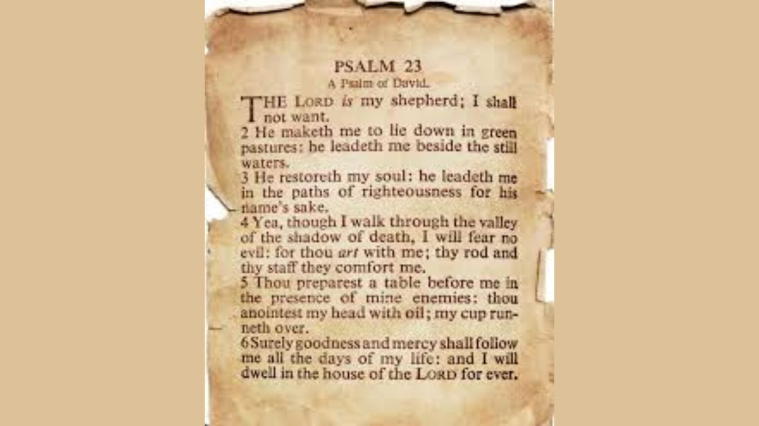 5 Poem of Praise Works for Daily Inspiration - RememberedLore